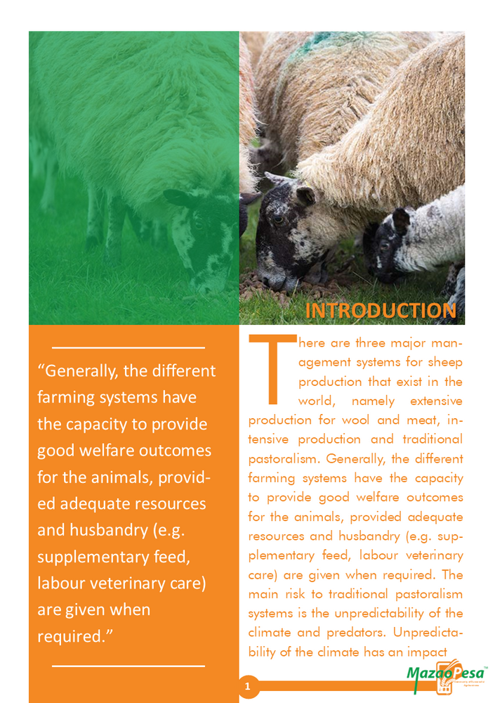 Sheep Production Management Systems – Mazaopesa